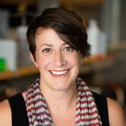 Elizabeth McCullagh | About | Oklahoma State University